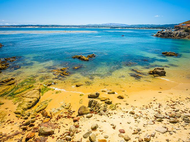 Monterey Activities & Local Guide | Monterey Bay Inn