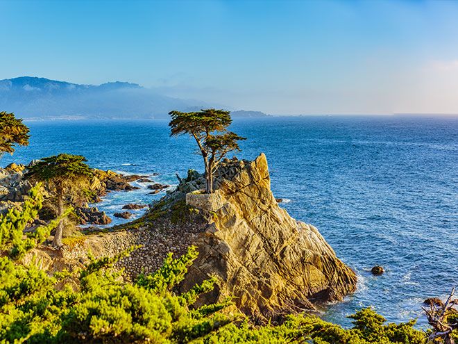 Top Things to Do In Monterey | Monterey Bay Inn